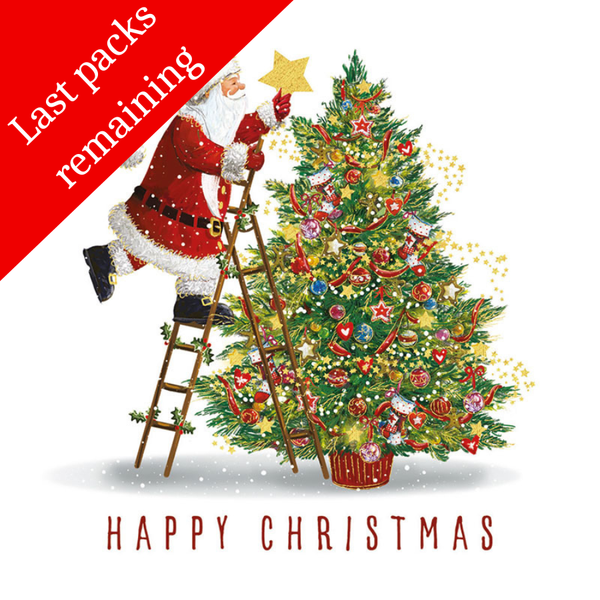 Santa Dressing the Tree type 1 diabetes charity Christmas cards (Twin ...